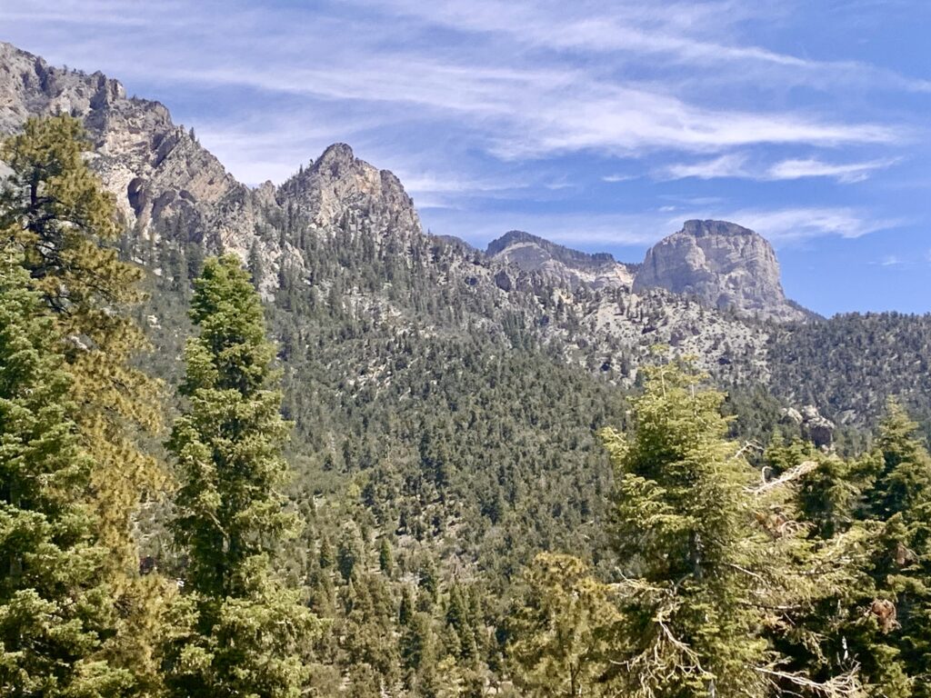 Exploring Nature's Majesty: Guide to Visiting Mt. Charleston