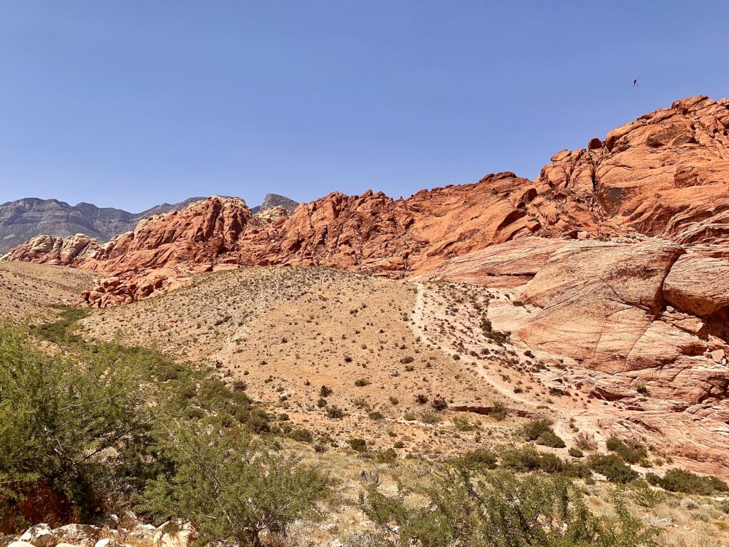 The Ultimate Guide to a Must See Day Trip at Red Rock Conservation Area ...